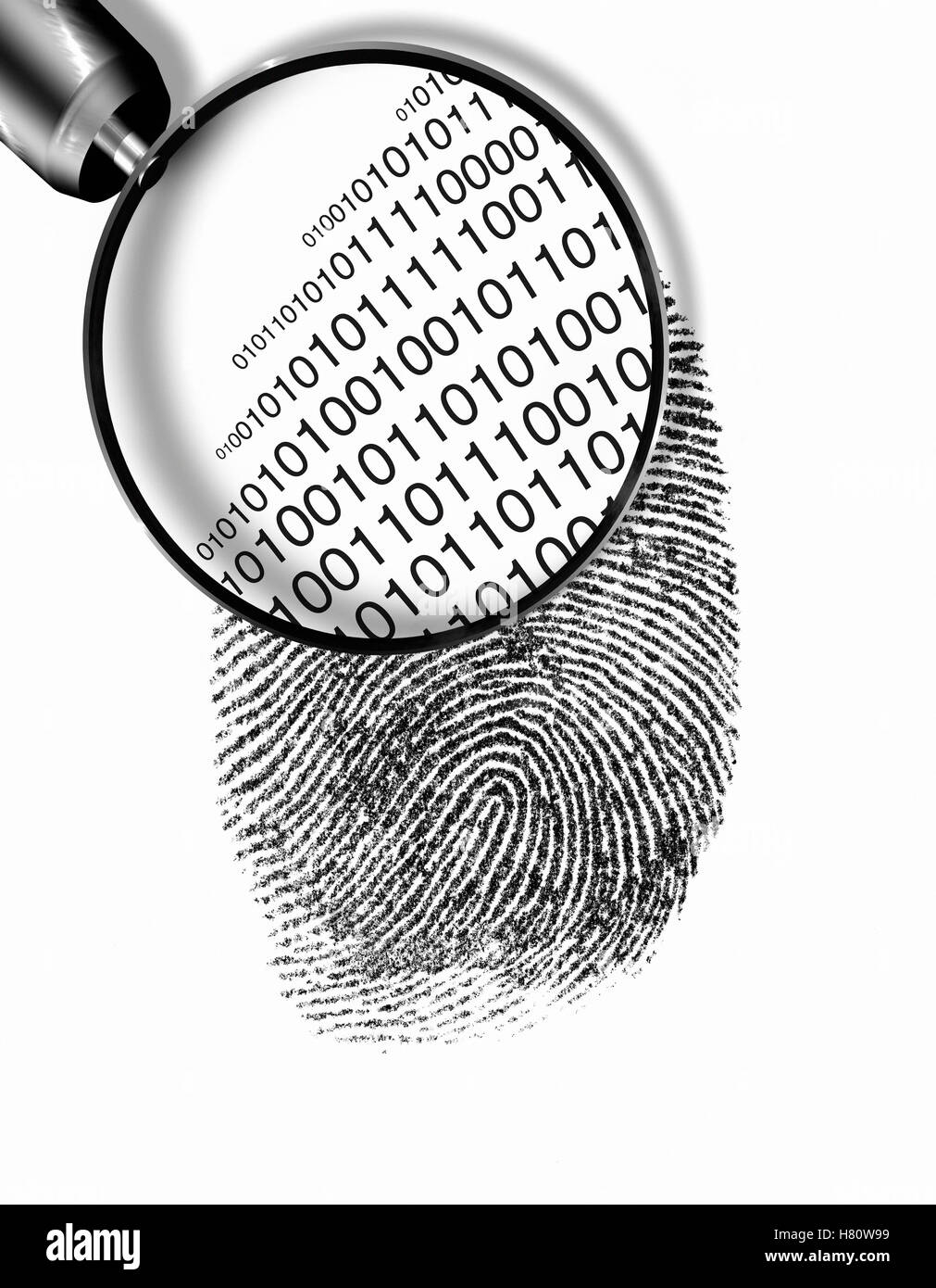 magnifying glass showing binary code in fingerprint Stock Photo - Alamy