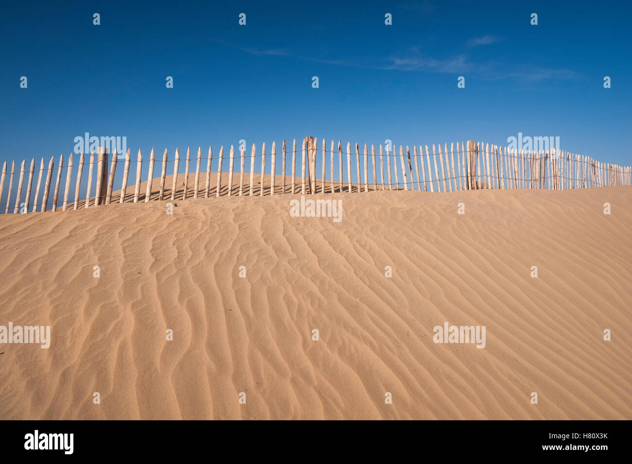 Sand dune erosion hi-res stock photography and images - Alamy