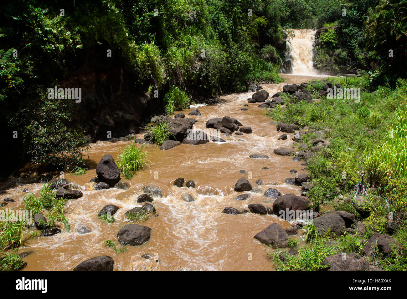 Waimea Falls after heavy rainfall in the Waimea Valley on Oahu, Hawaii ...