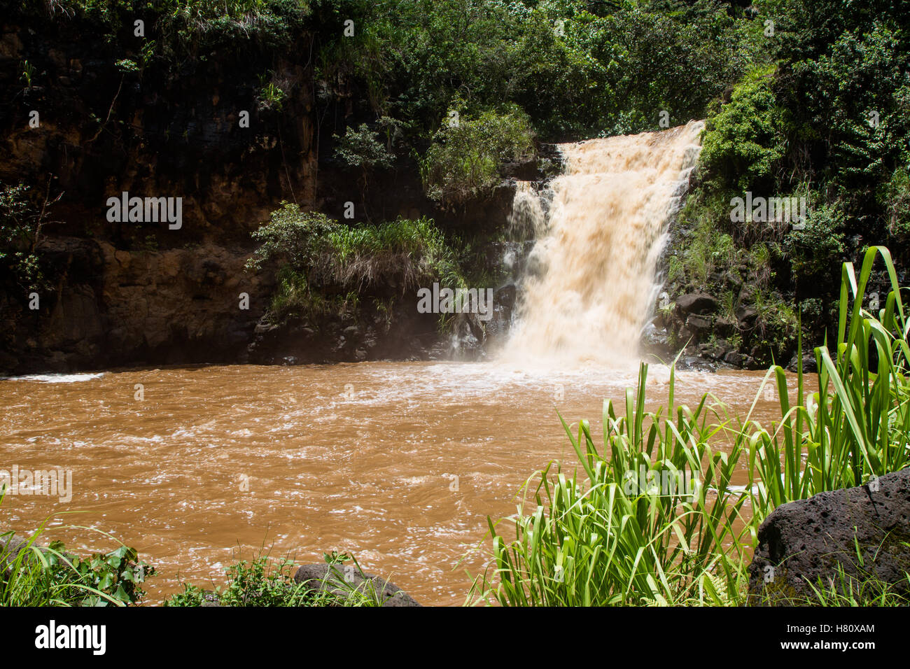 Waimea Falls after heavy rainfall in the Waimea Valley on Oahu, Hawaii ...