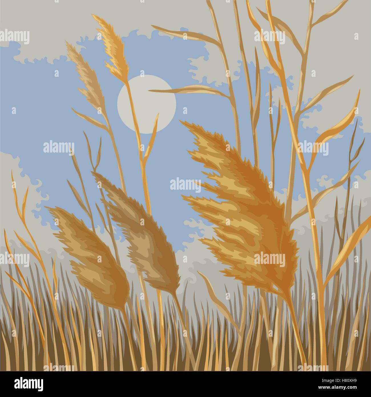 Yellow reed flower Stock Vector Images - Alamy