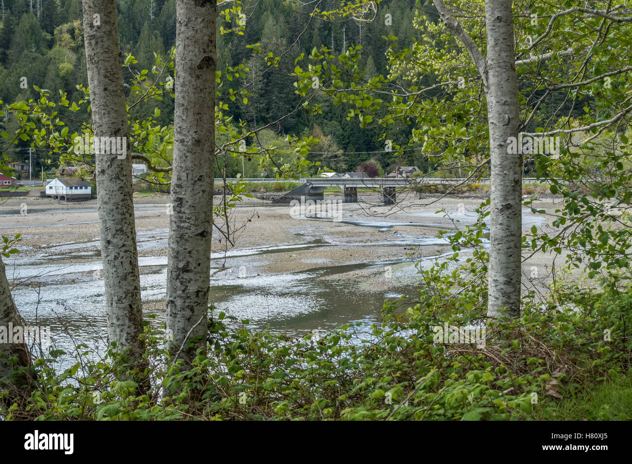 A stream flows under a bridge near Triton, Washington on the Hood Canal ...