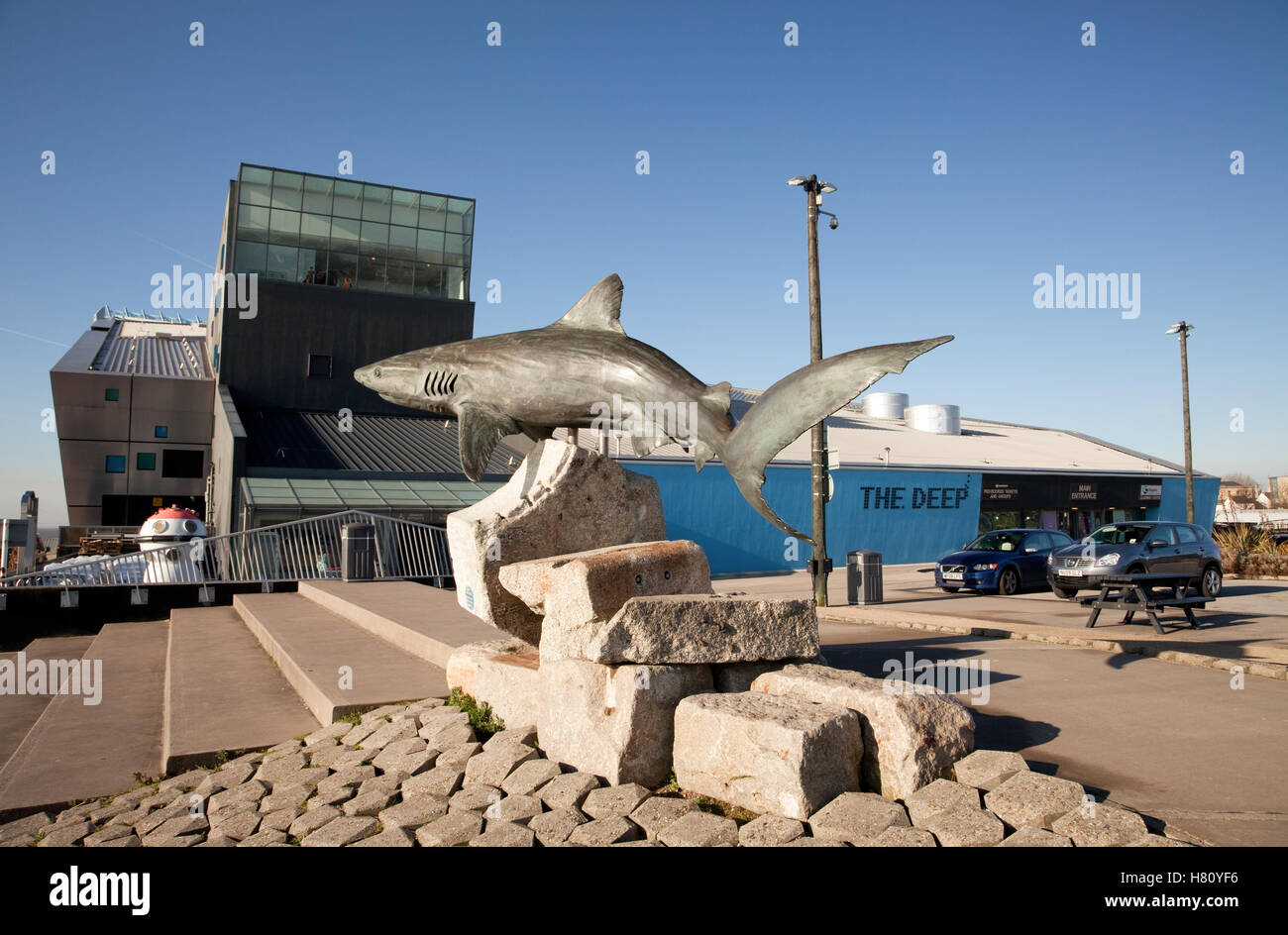 Deep Aquarium In Hull East High Resolution Stock Photography and Images ...