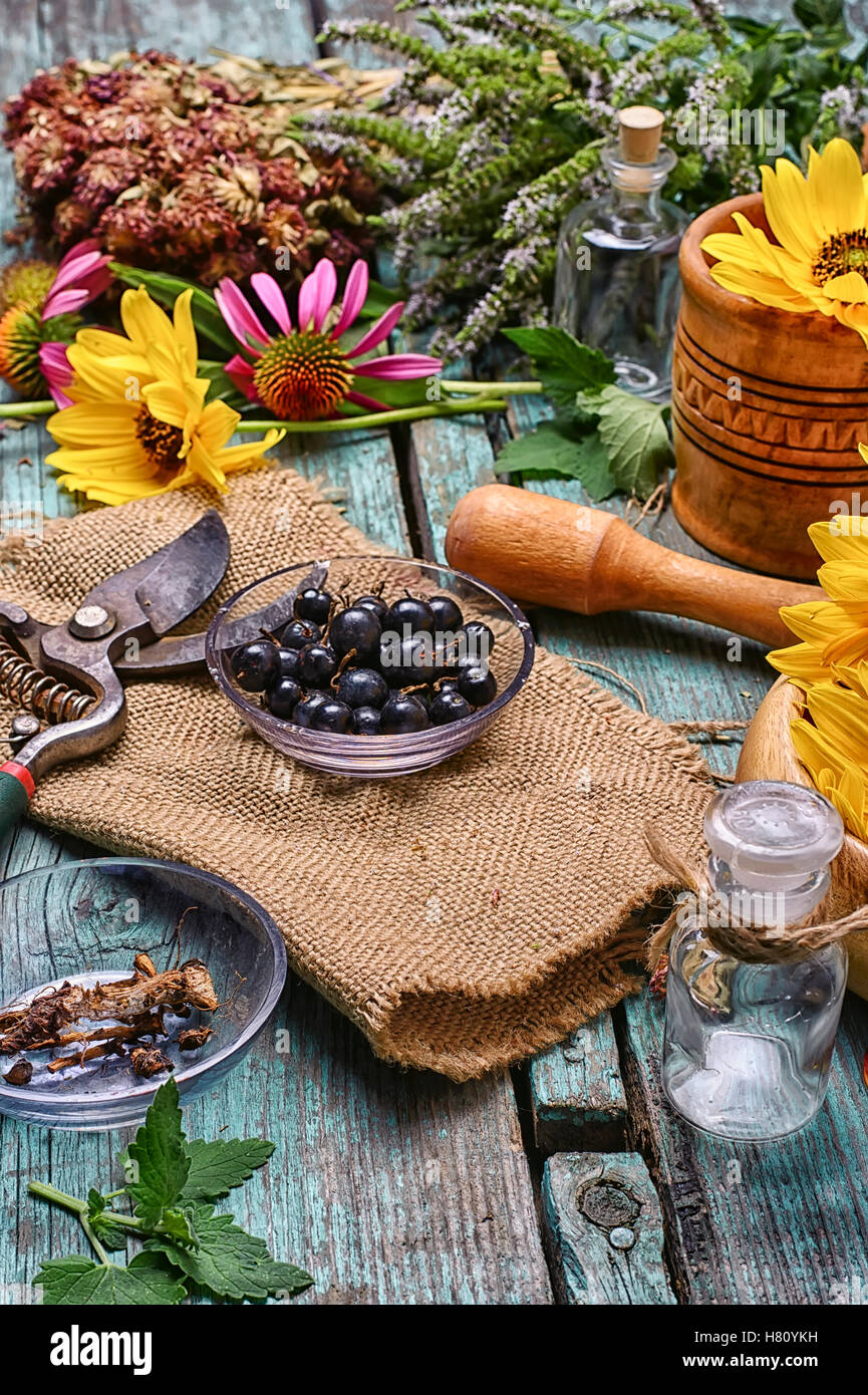 set of collected herbs and flowers for medicinal purposes Stock Photo ...