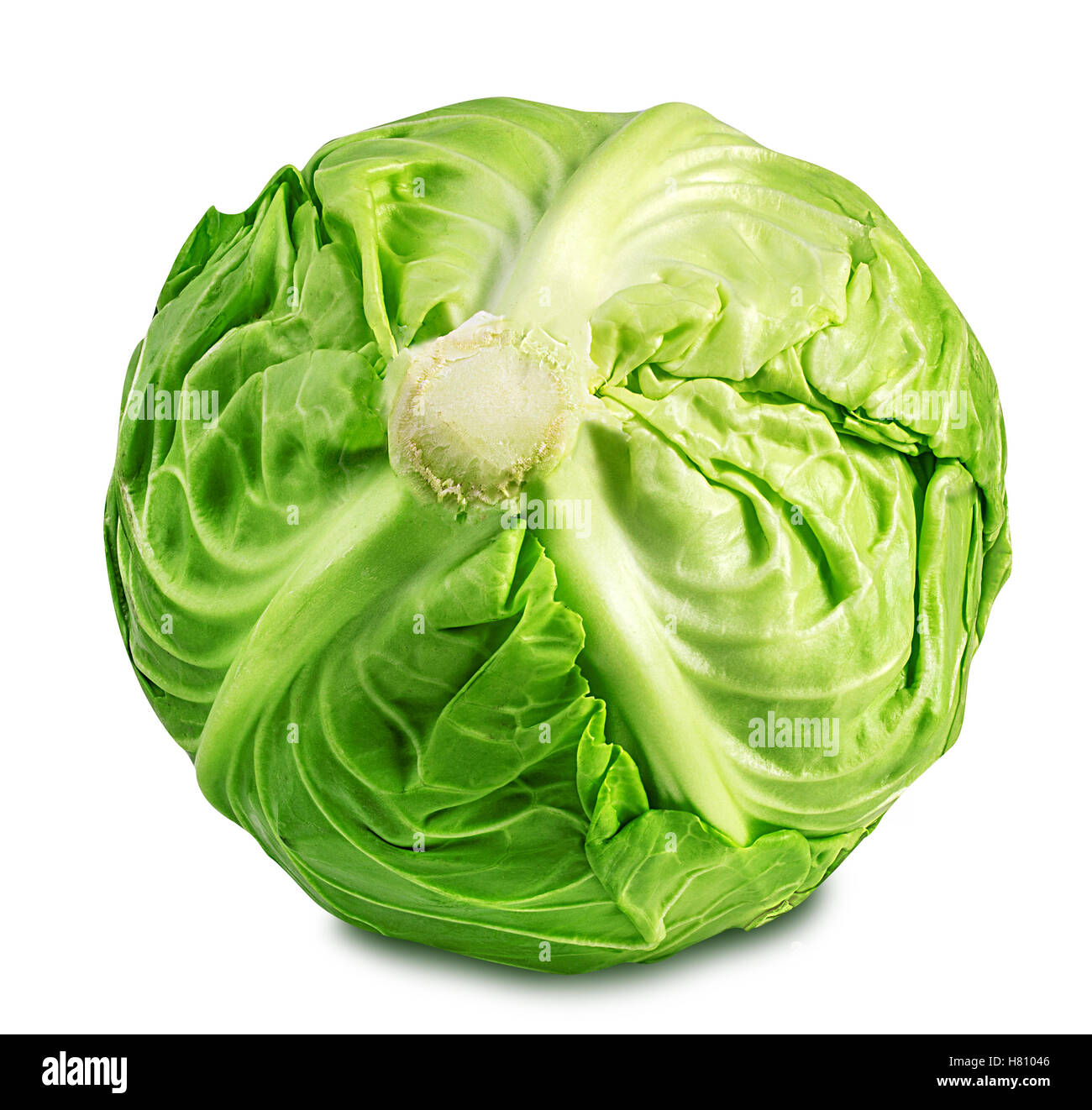 Green cabbage isolated on white background Stock Photo - Alamy