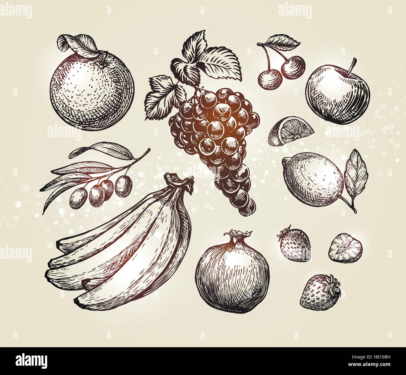 Collection set orange drawing Stock Vector Images - Alamy