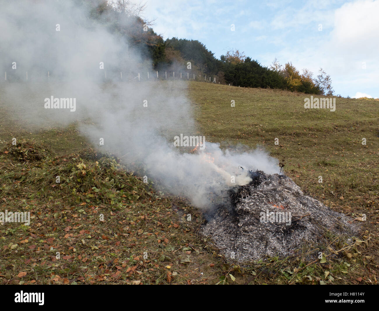Kent chalkland hi-res stock photography and images - Alamy