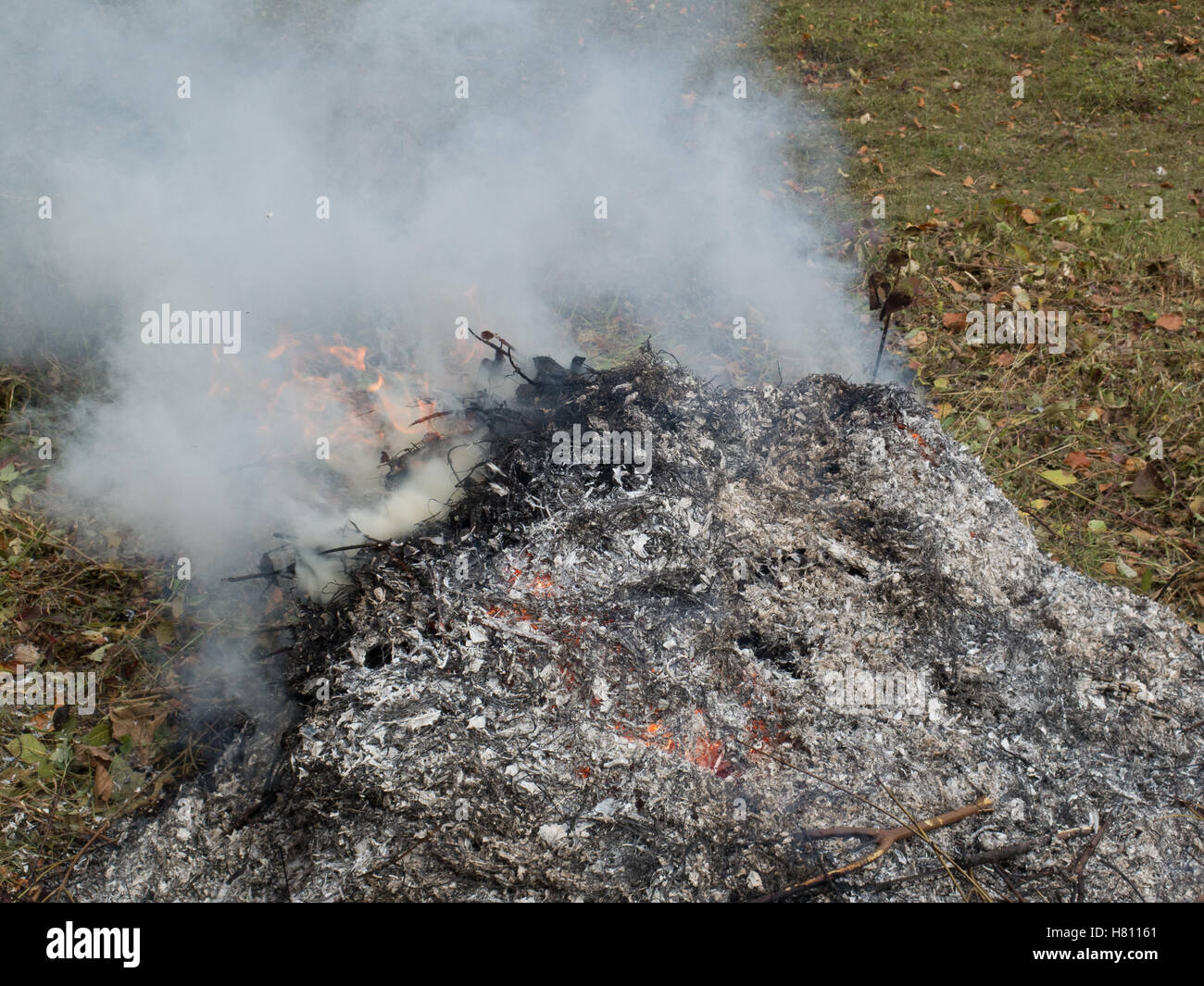 Kent chalkland hi-res stock photography and images - Alamy