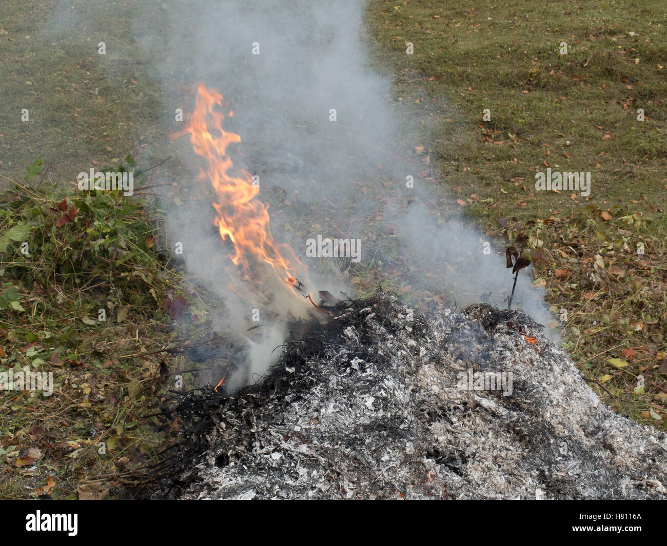 Kent chalkland hi-res stock photography and images - Alamy
