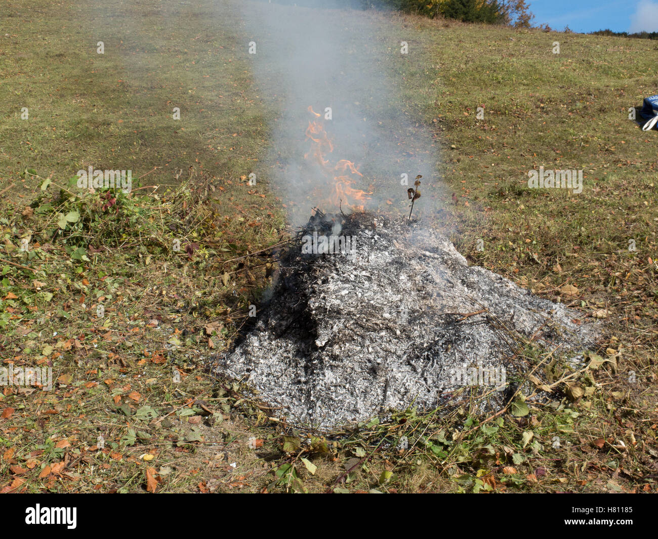 Kent chalkland hi-res stock photography and images - Alamy