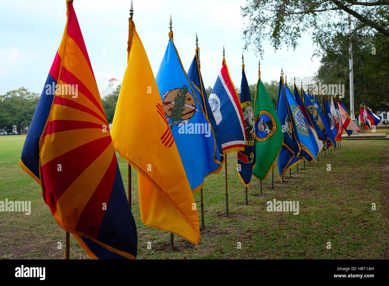 Some of the state flags of the United States on display at Homecoming ...