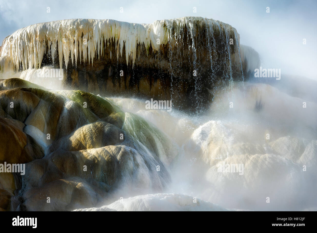Palette Spring in Yellowstone National Park Stock Photo - Alamy