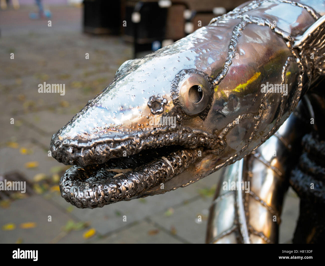 King Wrapped in the Coils of a Life-Sized Conger Eel Stock Photo - Alamy