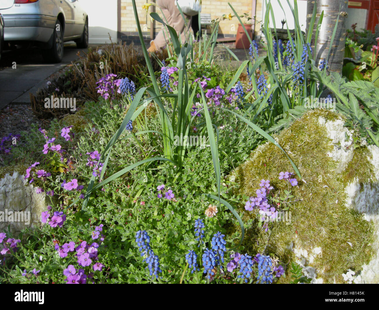 Flora assorted flowers hi-res stock photography and images - Alamy