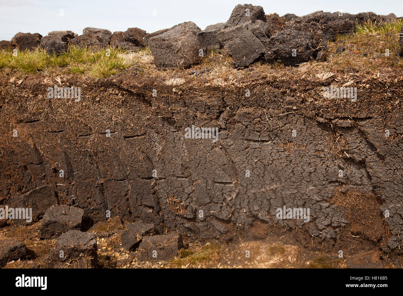 Peat quarry, Falkland Islands Stock Photo - Alamy