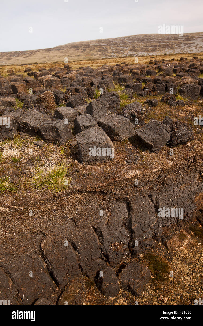 Peat quarry with cut blocks drying, Falkland Islands Stock Photo - Alamy