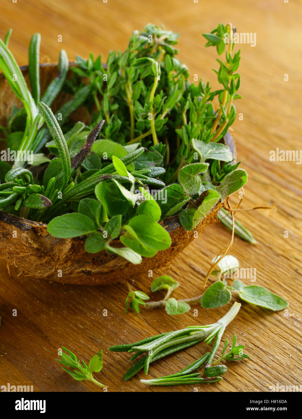 Various aromatic herbs (rosemary, thyme, parsley, basil Stock Photo - Alamy