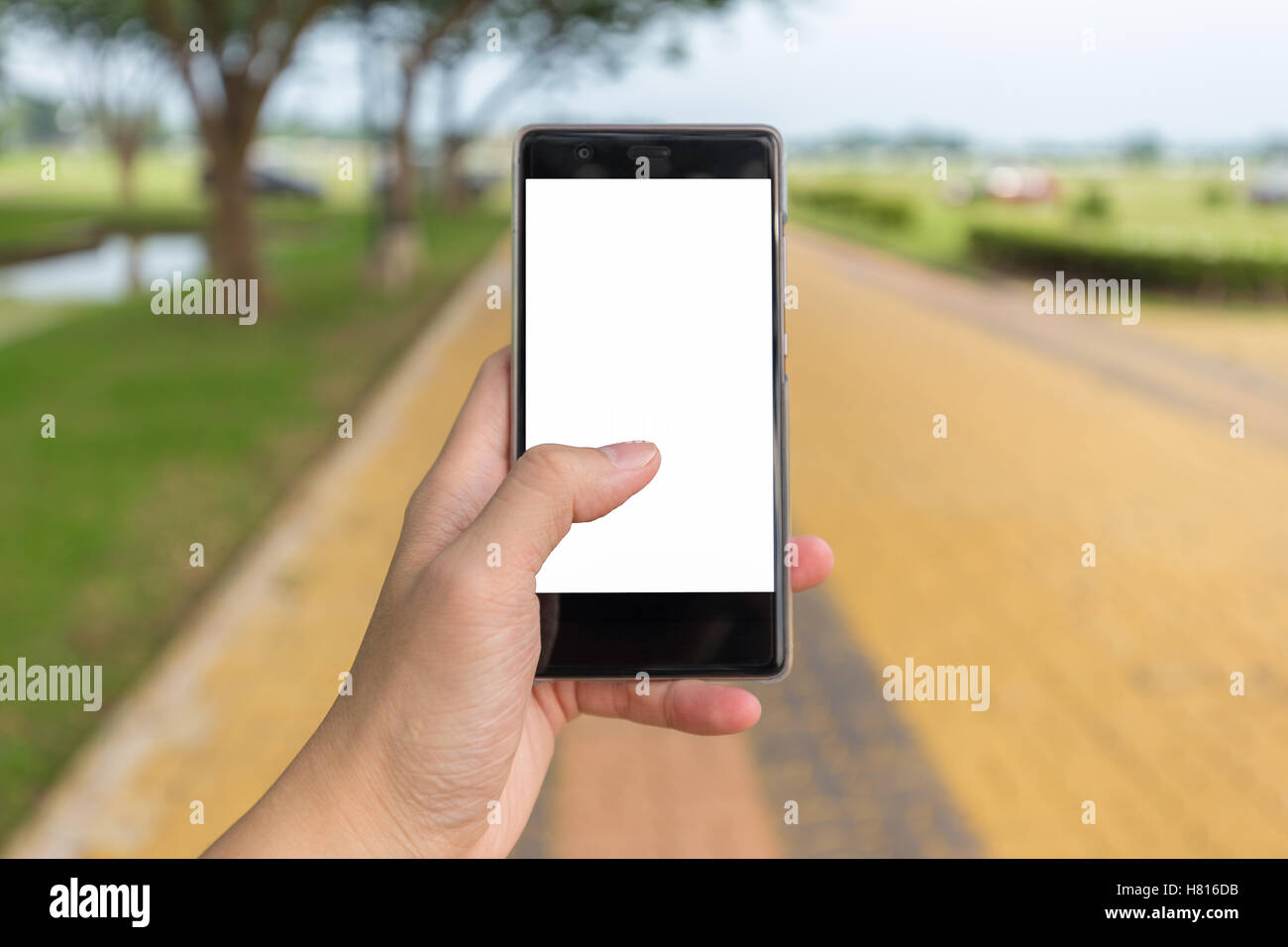 Left hand hold blank white screen mobile phone with blurry scene of ...