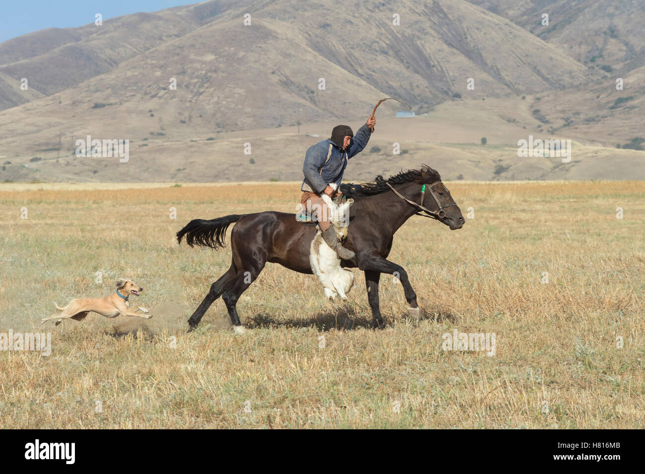 Traditional Kokpar or buzkashi in the outskirts of Gabagly national ...