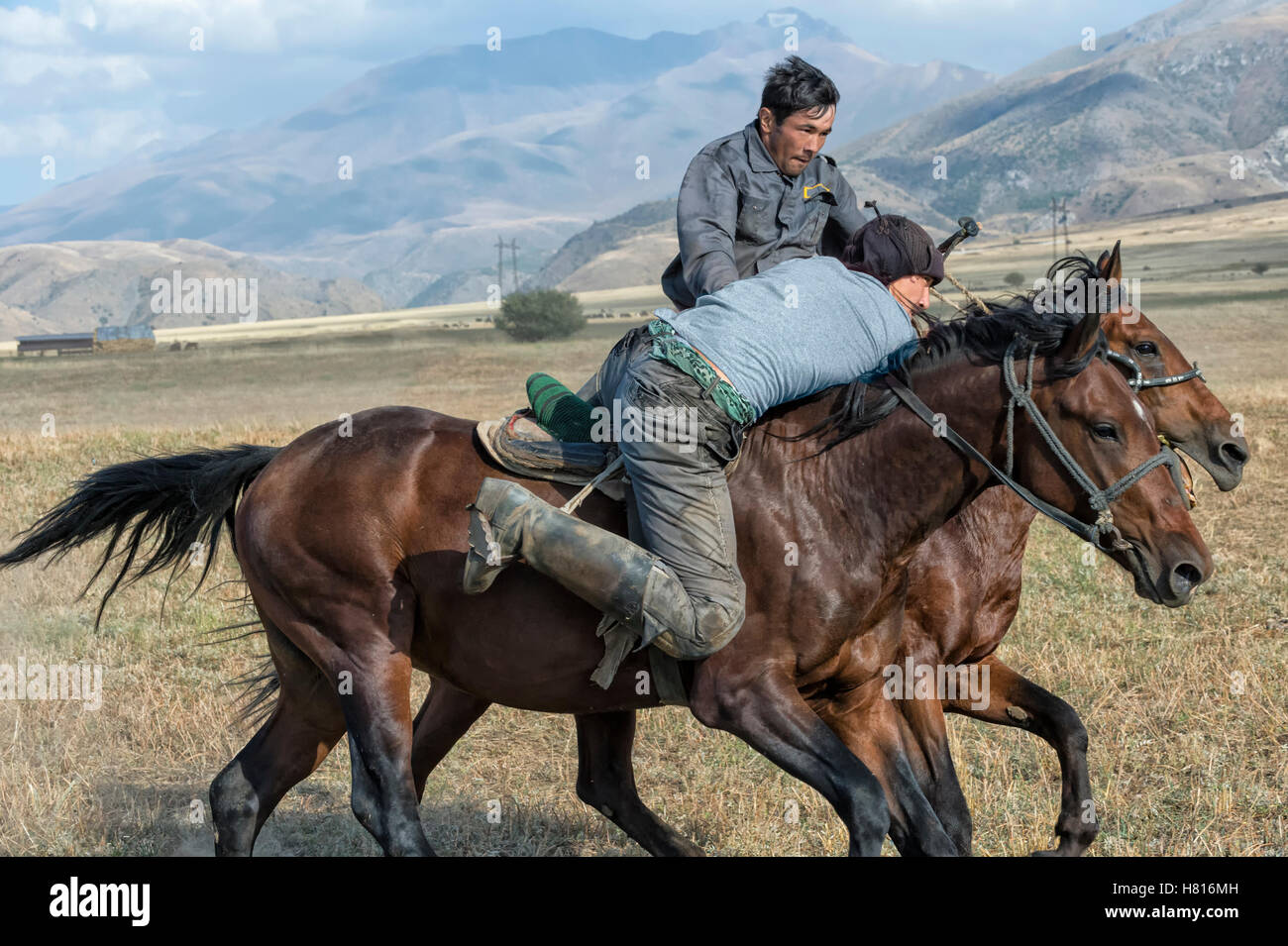 Buzkashi High Resolution Stock Photography and Images - Alamy