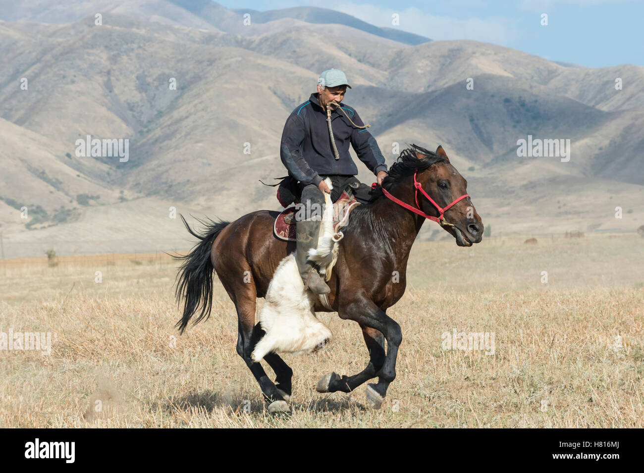 Traditional Kokpar or buzkashi in the outskirts of Gabagly national ...