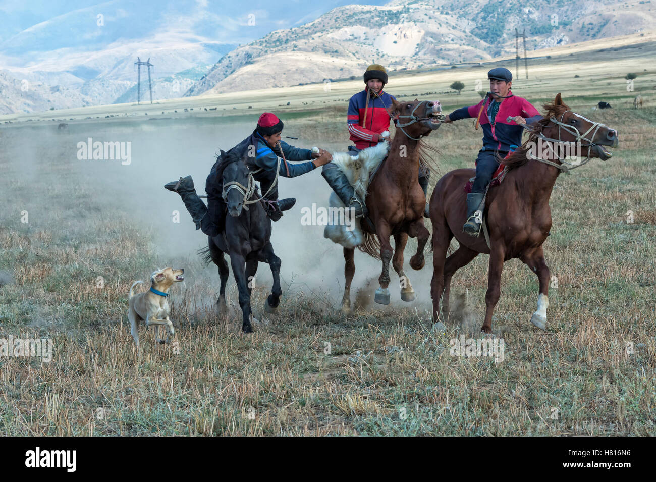 Traditional Kokpar or buzkashi in the outskirts of Gabagly national ...