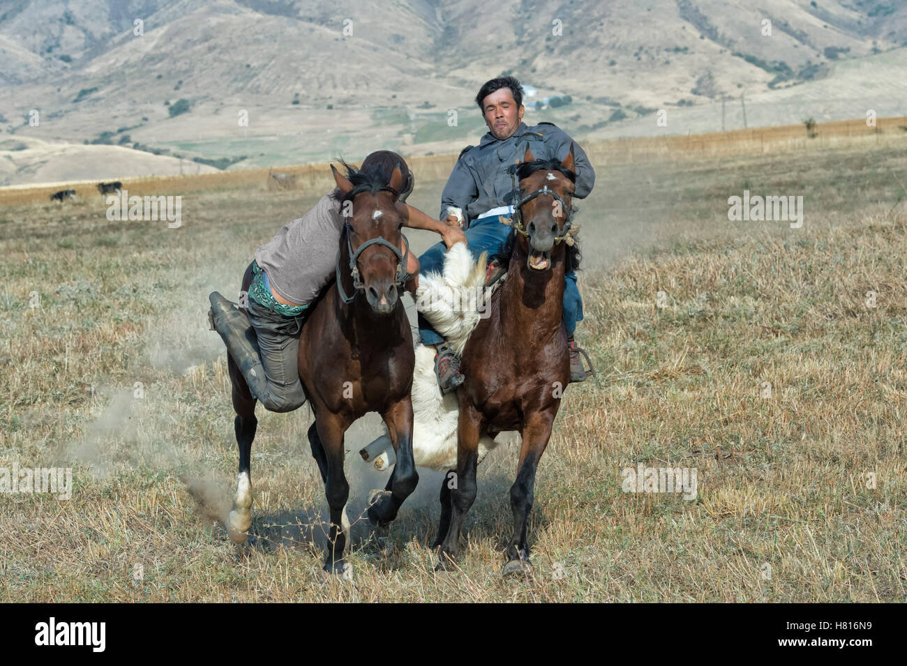 Traditional Kokpar or buzkashi in the outskirts of Gabagly national ...