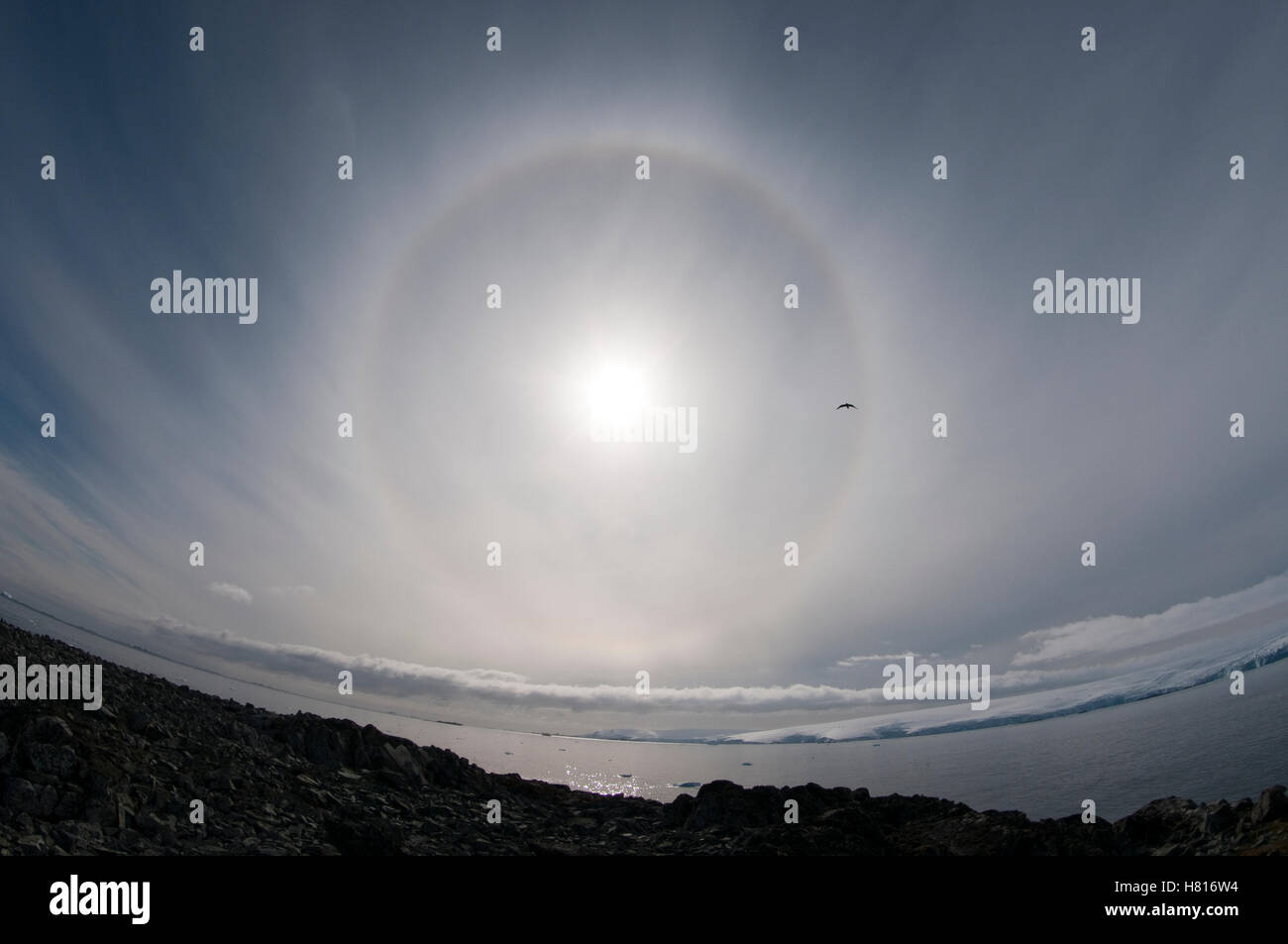 Sundog, also known as mock suns, Antarctic Peninsula, Antarctica Stock ...