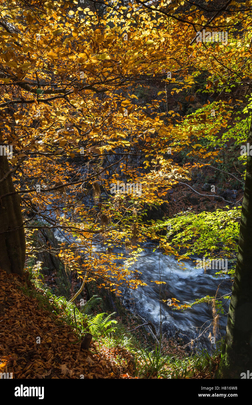 North Esk High Resolution Stock Photography and Images - Alamy