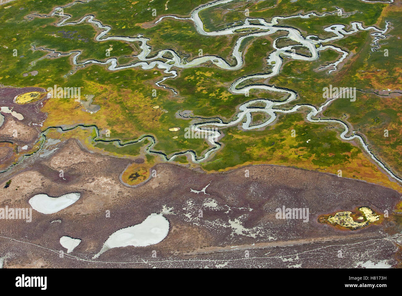 Tidal marsh, Langebaan Lagoon, Western Cape, South Africa Stock Photo ...