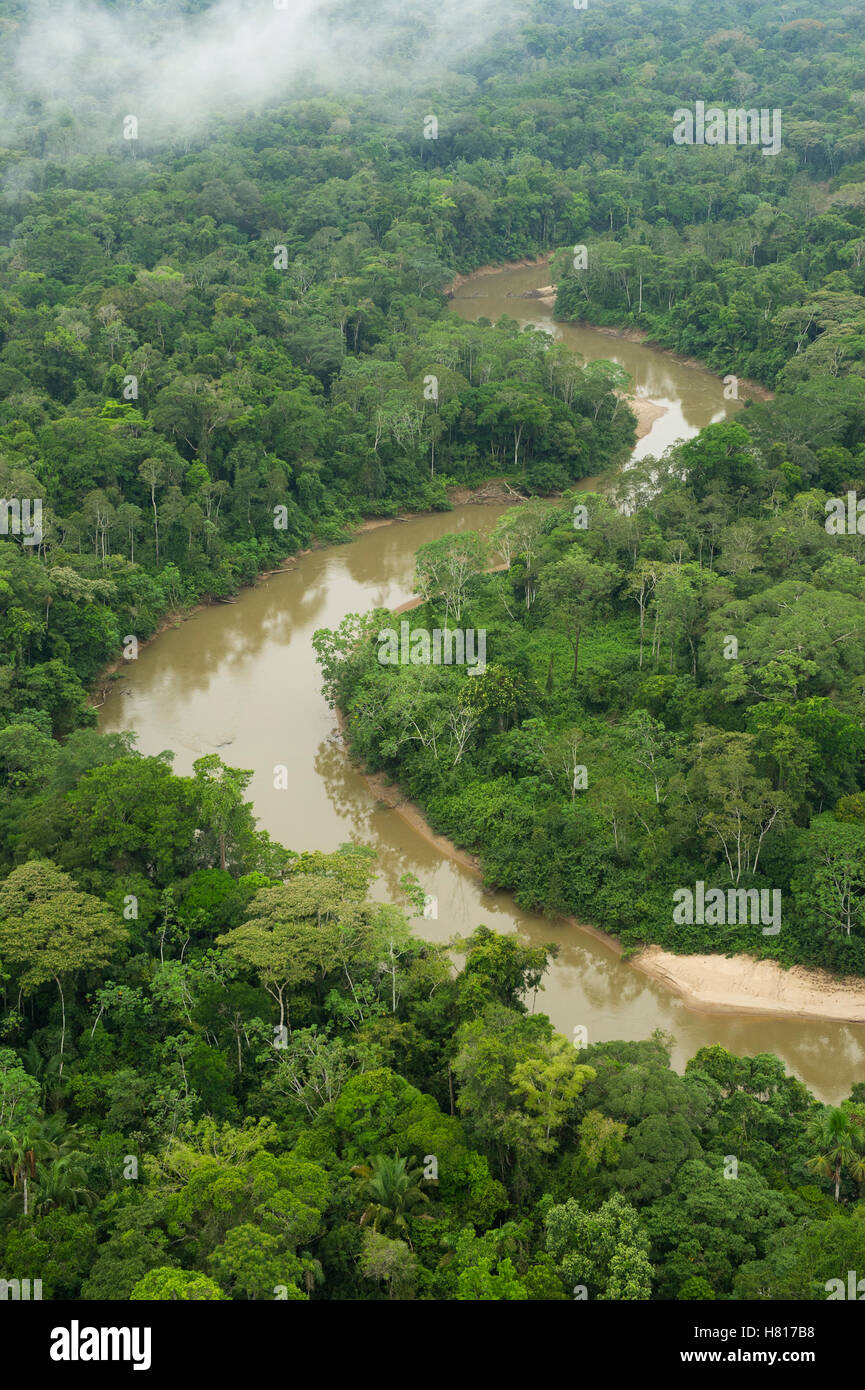 Tiputini River and rainforest, Yasuni National Park, Amazon, Ecuador ...
