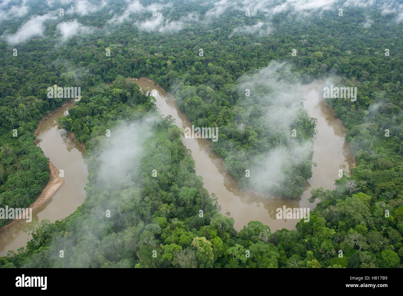 Tiputini River and rainforest, Yasuni National Park, Amazon, Ecuador ...