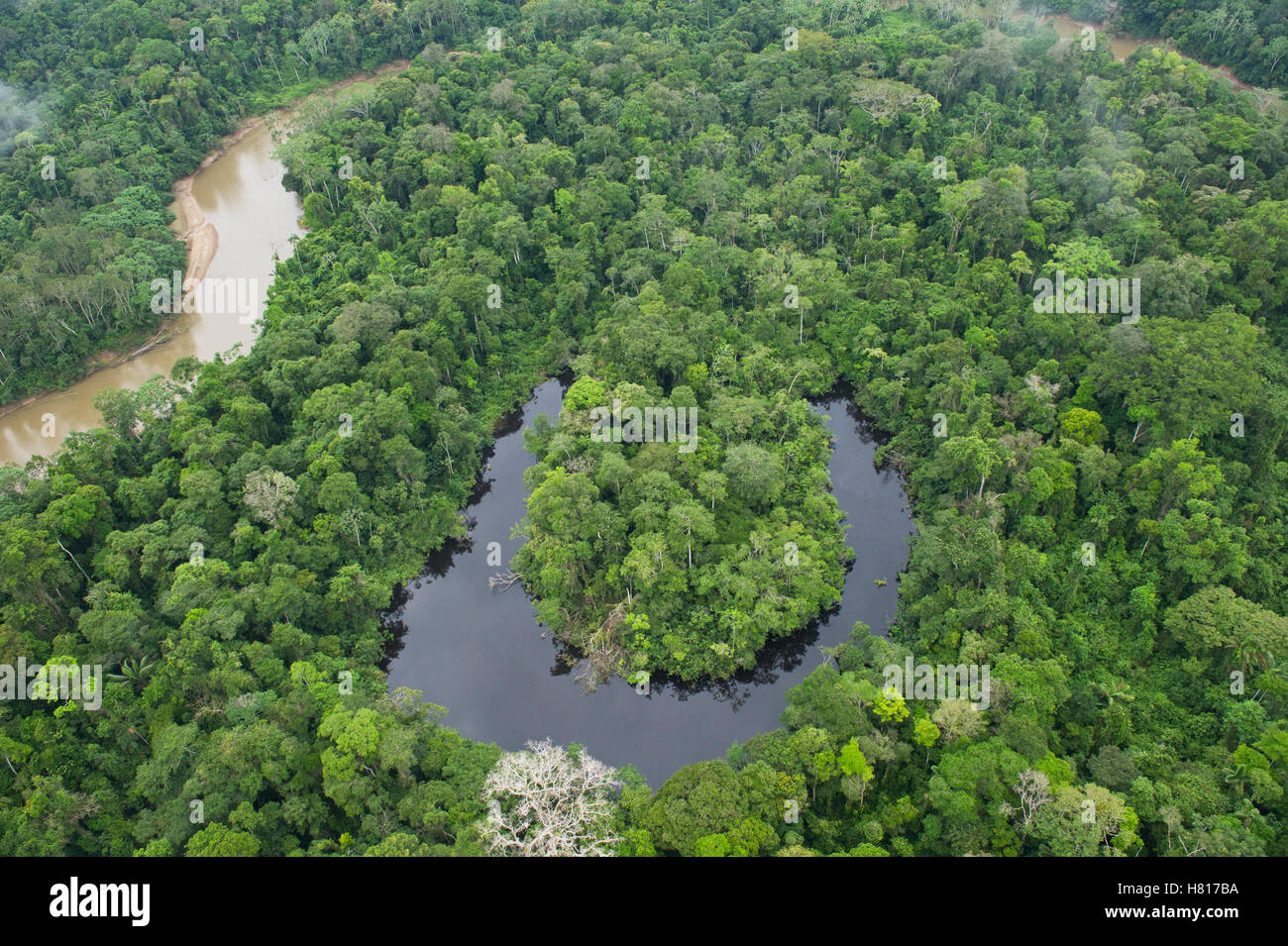 Tiputini River and oxbow lake in rainforest, Yasuni National Park ...