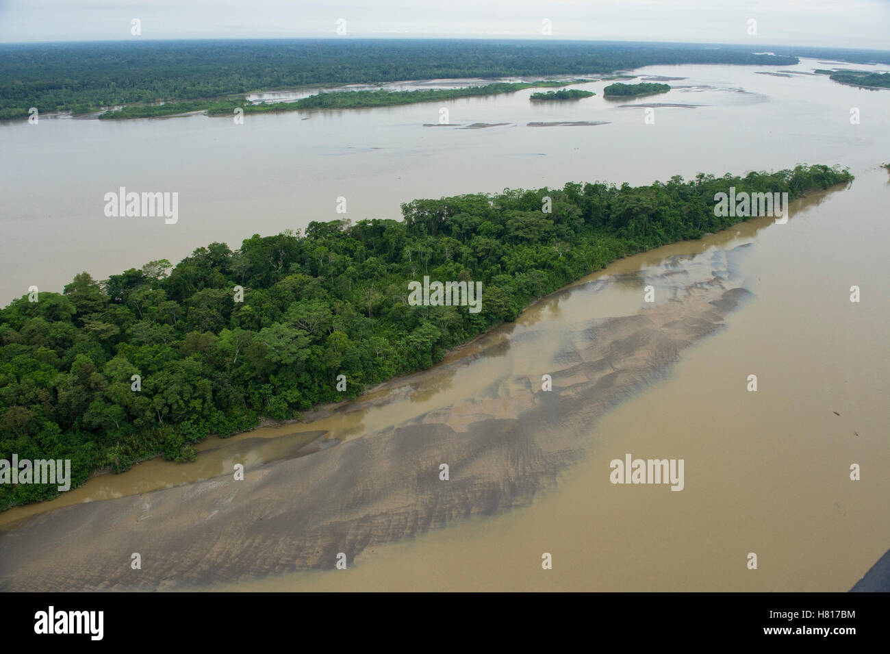 Napo River heavily silted and Yasuni National Park, Amazon, Ecuador ...