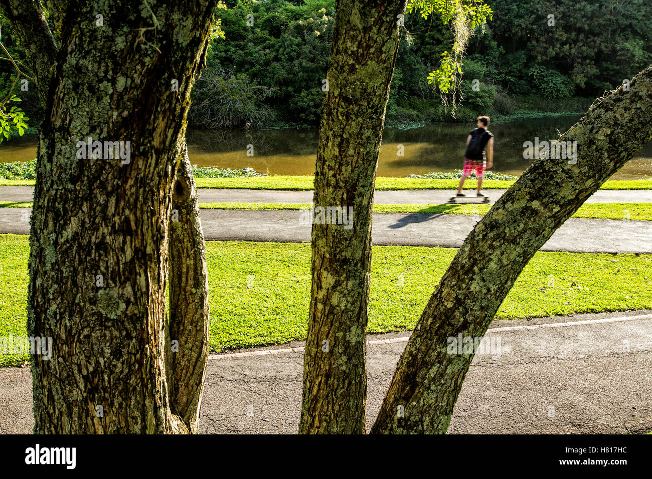 Boy skating at Barigui Park. Curitiba, Parana, Brazil Stock Photo - Alamy