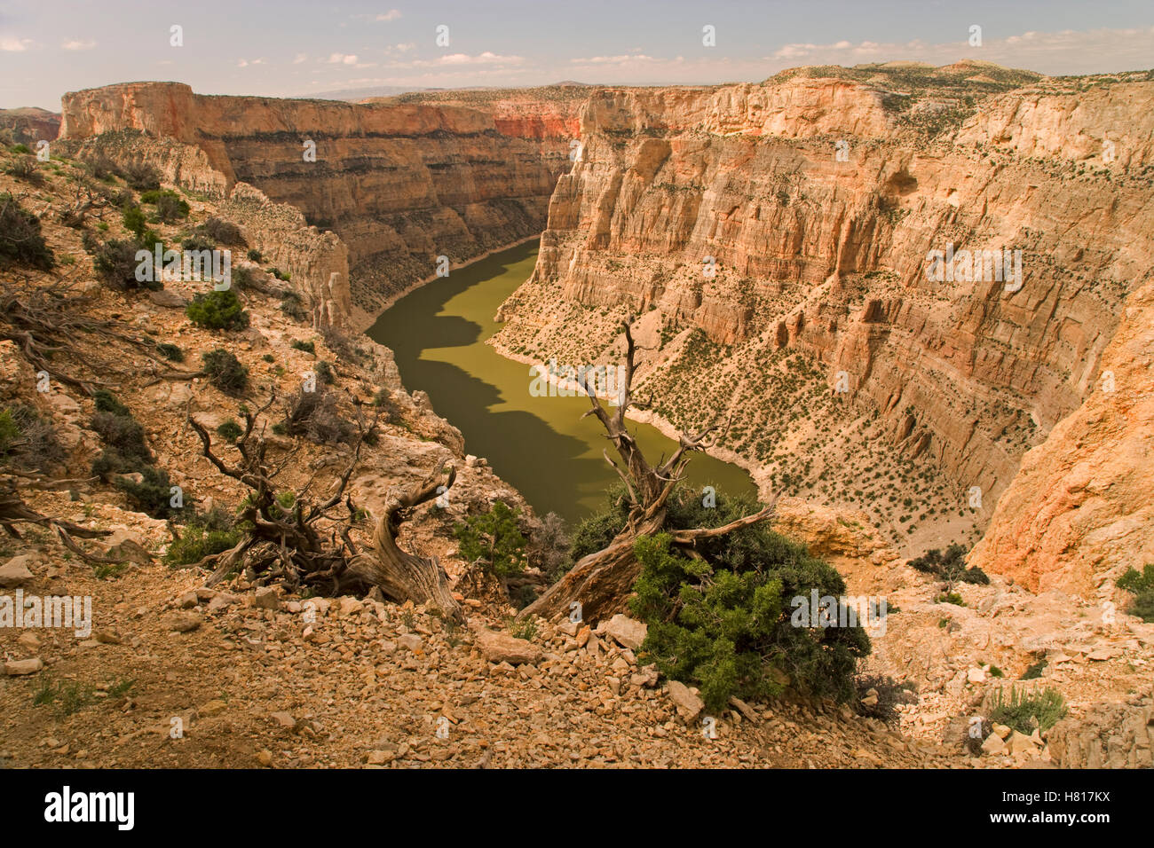 River valley, Big Horn Mountains, Wyoming Stock Photo - Alamy