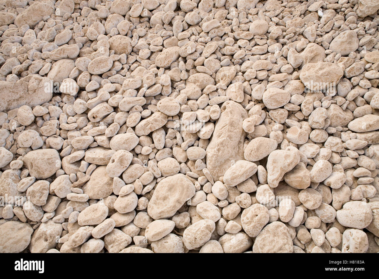 Limestone rocks in dry river bed, Hawf Protected Area, Yemen Stock ...
