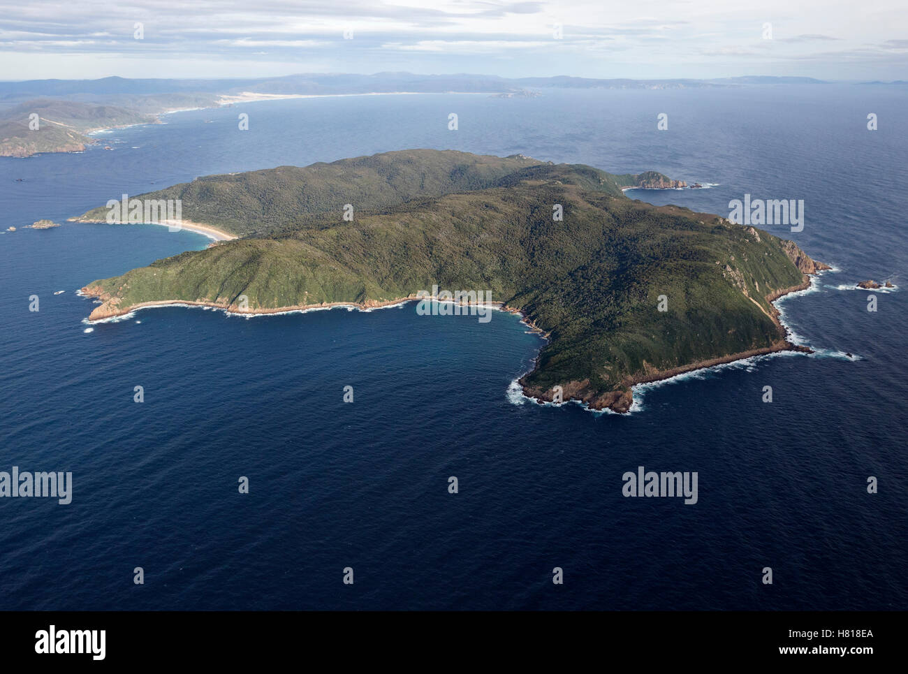 Codfish Island, New Zealand Stock Photo - Alamy