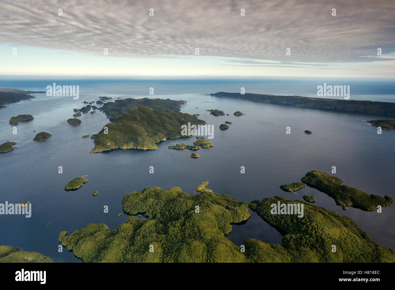 Anchor Island, Dusky Sound, Fjordland National Park, South Island, New ...