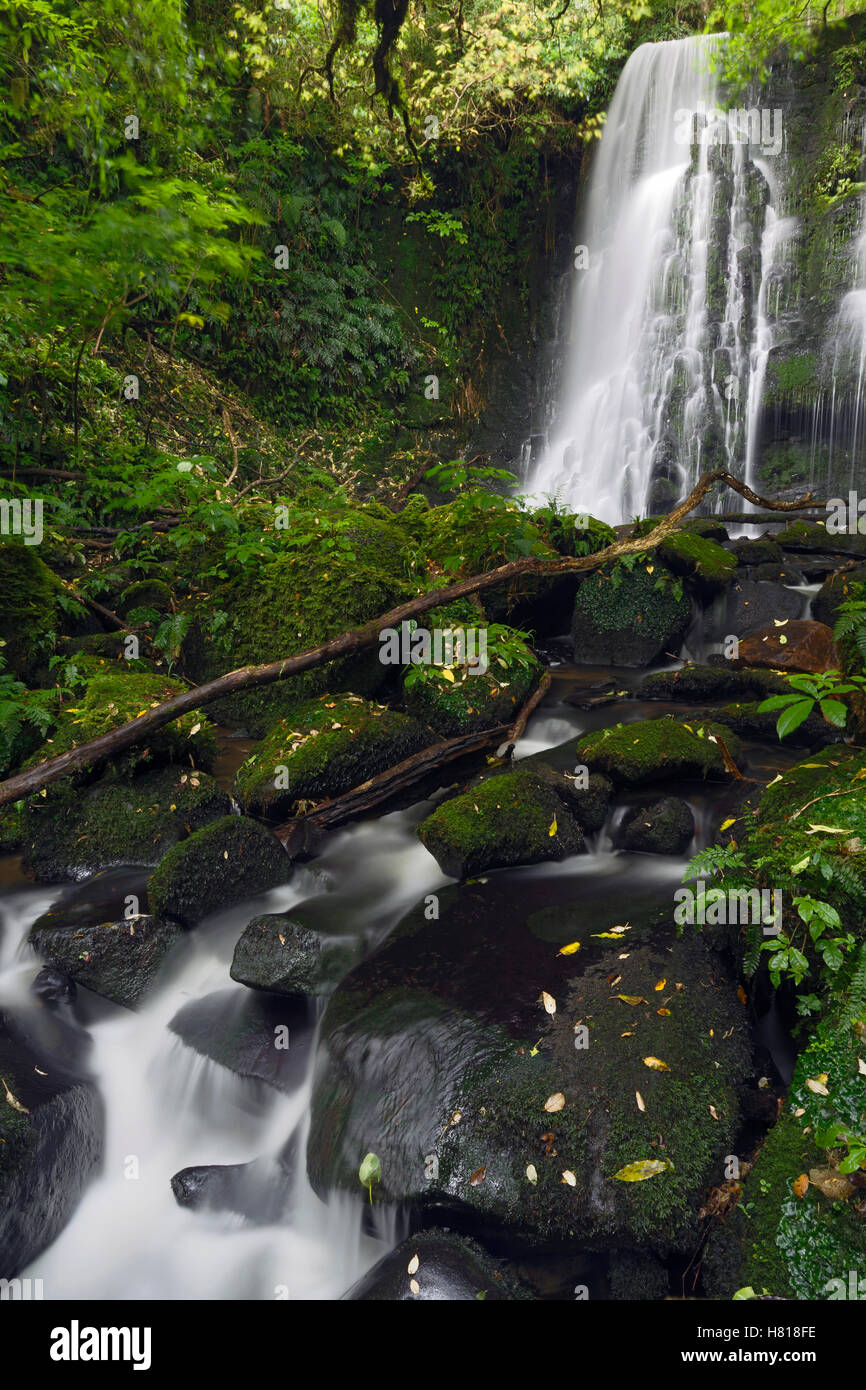 Matai Falls, Catlins, South Island, New Zealand Stock Photo - Alamy