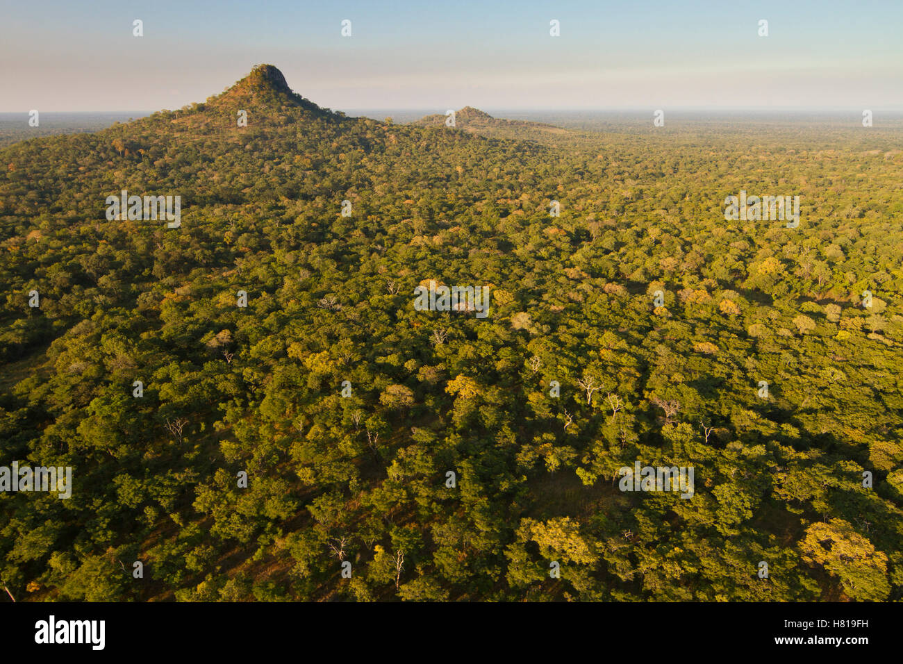 Inselberg rock formations rising above rainforest, Gorongosa National ...