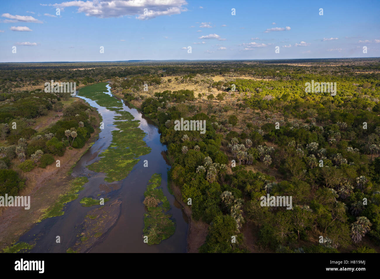 River flowing through mixed woodland, Gorongosa National Park ...