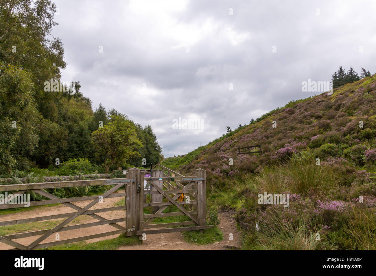 A cloudy day at Langsett Reservoir, Peak District Stock Photo - Alamy