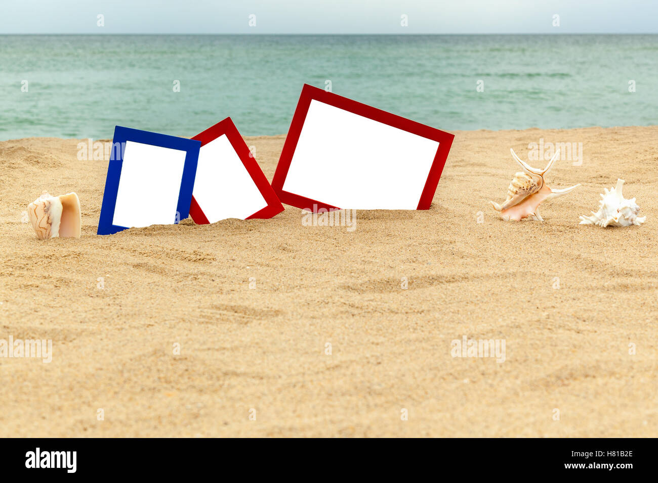 photo frame on the beach, photography on the beach, sea shells, beach ...