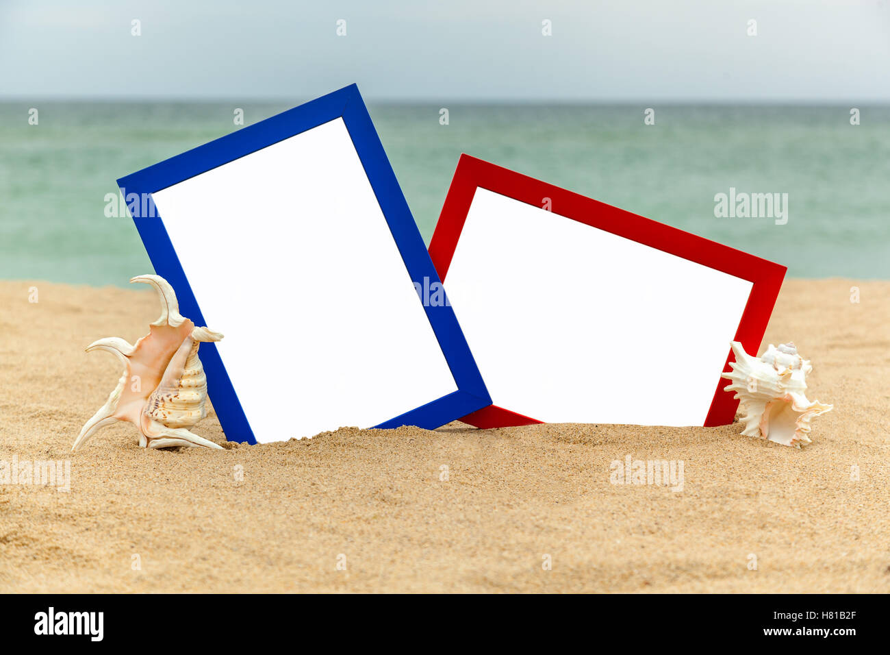 photo frame on the beach, photography on the beach, sea shells, beach ...