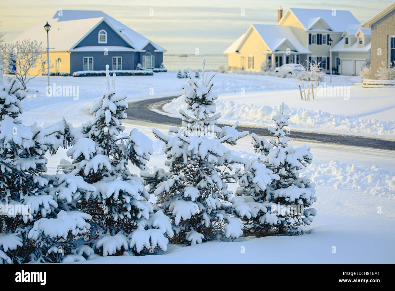 Winter urban landscape snow hi-res stock photography and images - Alamy