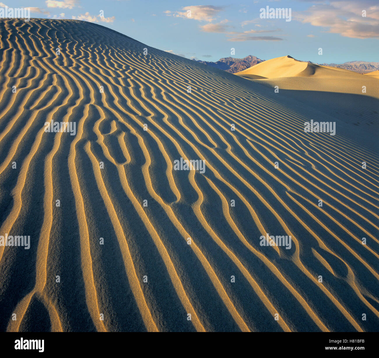 Mesquite Flat Sand Dunes, Death Valley National Park, California Stock ...
