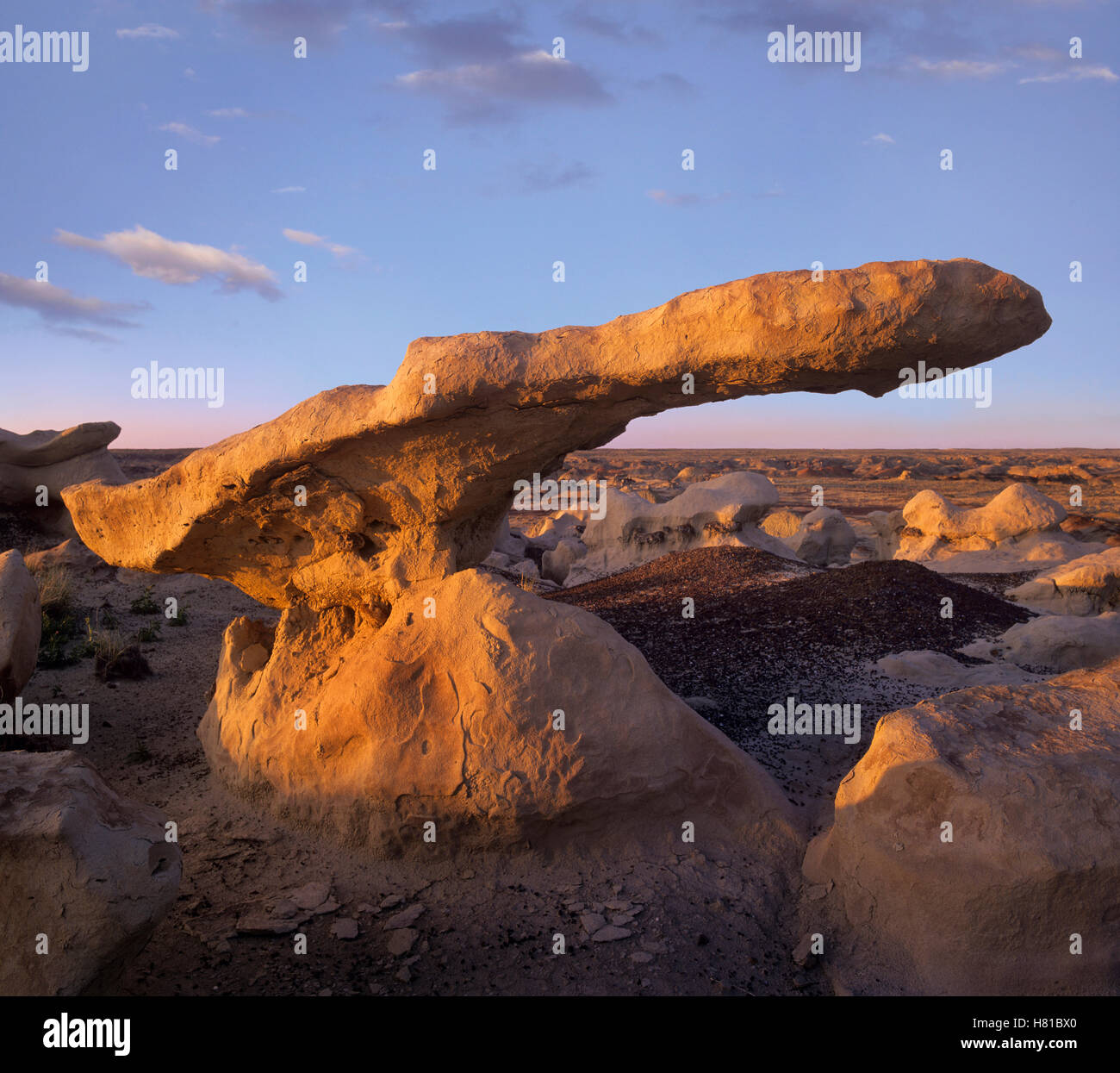 Eroded rock, Bisti Badlands, Bisti Wilderness Area, New Mexico Stock ...