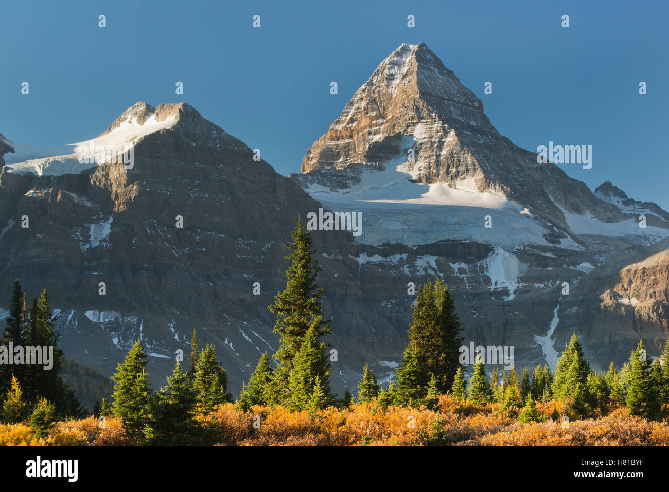 Tundra and Mount Assiniboine, Mount Assiniboine Provincial Park ...