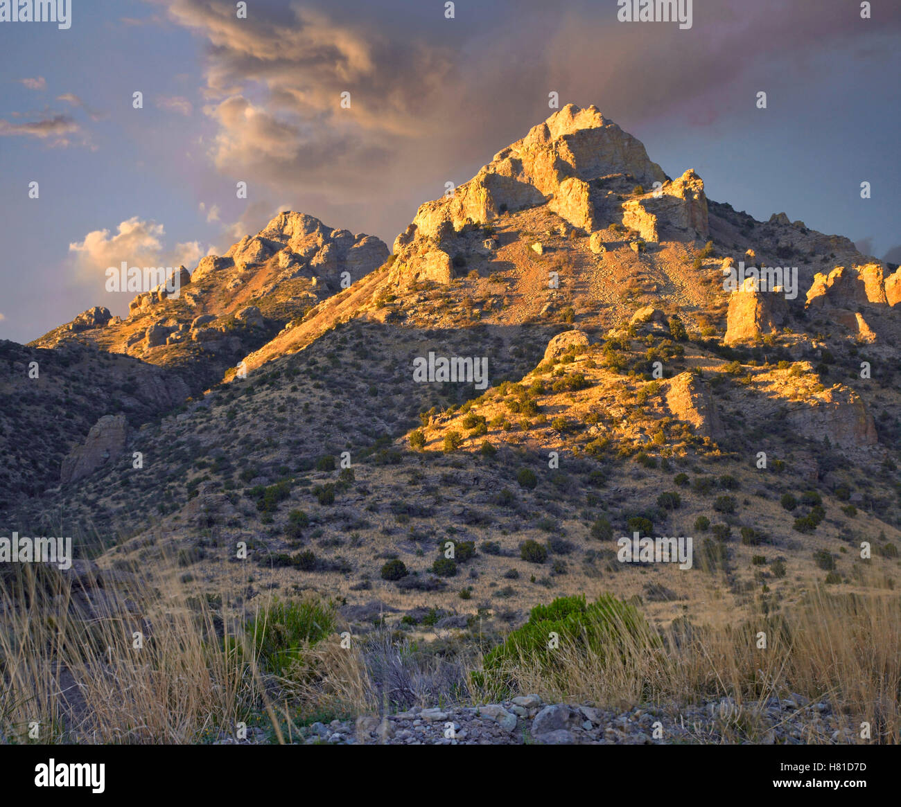 Florida Mountains, Rockhound State Park, New Mexico Stock Photo - Alamy